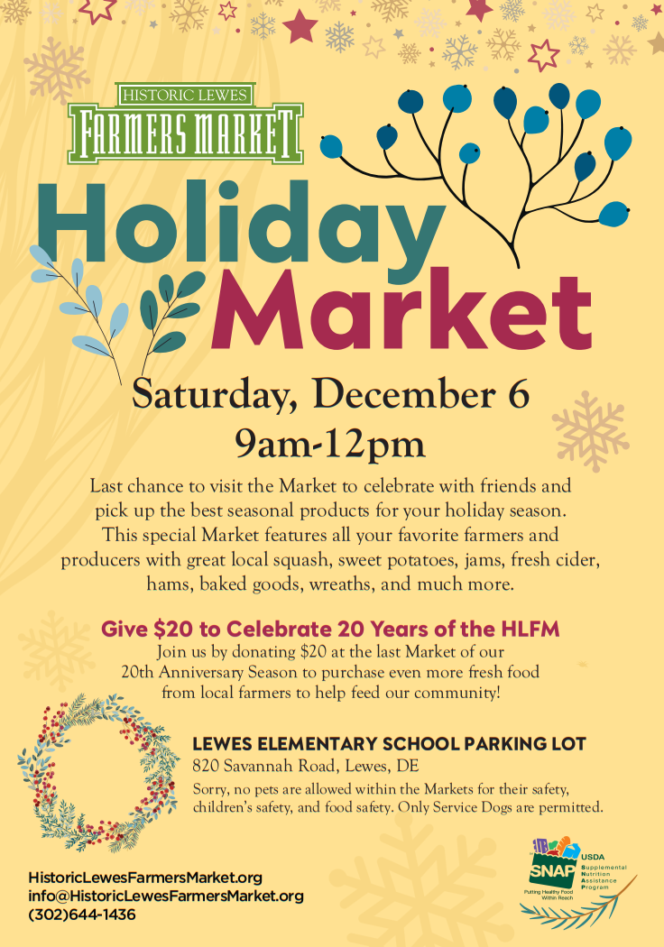 Don't Miss the Holiday Market! Shop at the final 2025 Historic Lewes ...