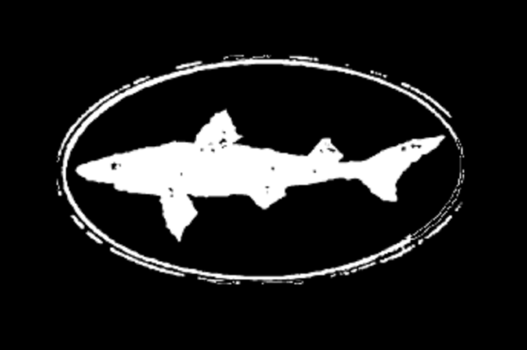 302 Day Celebration with Dogfish | Lewes Chamber of Commerce